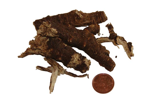 Where To Buy Osha Root - Benefits and Uses