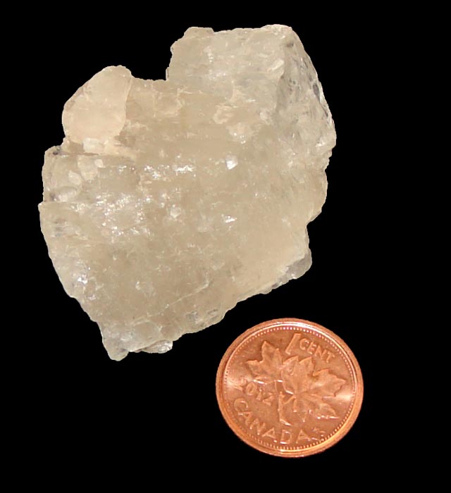 Where To Buy Castorite - Healing Benefits of Stones